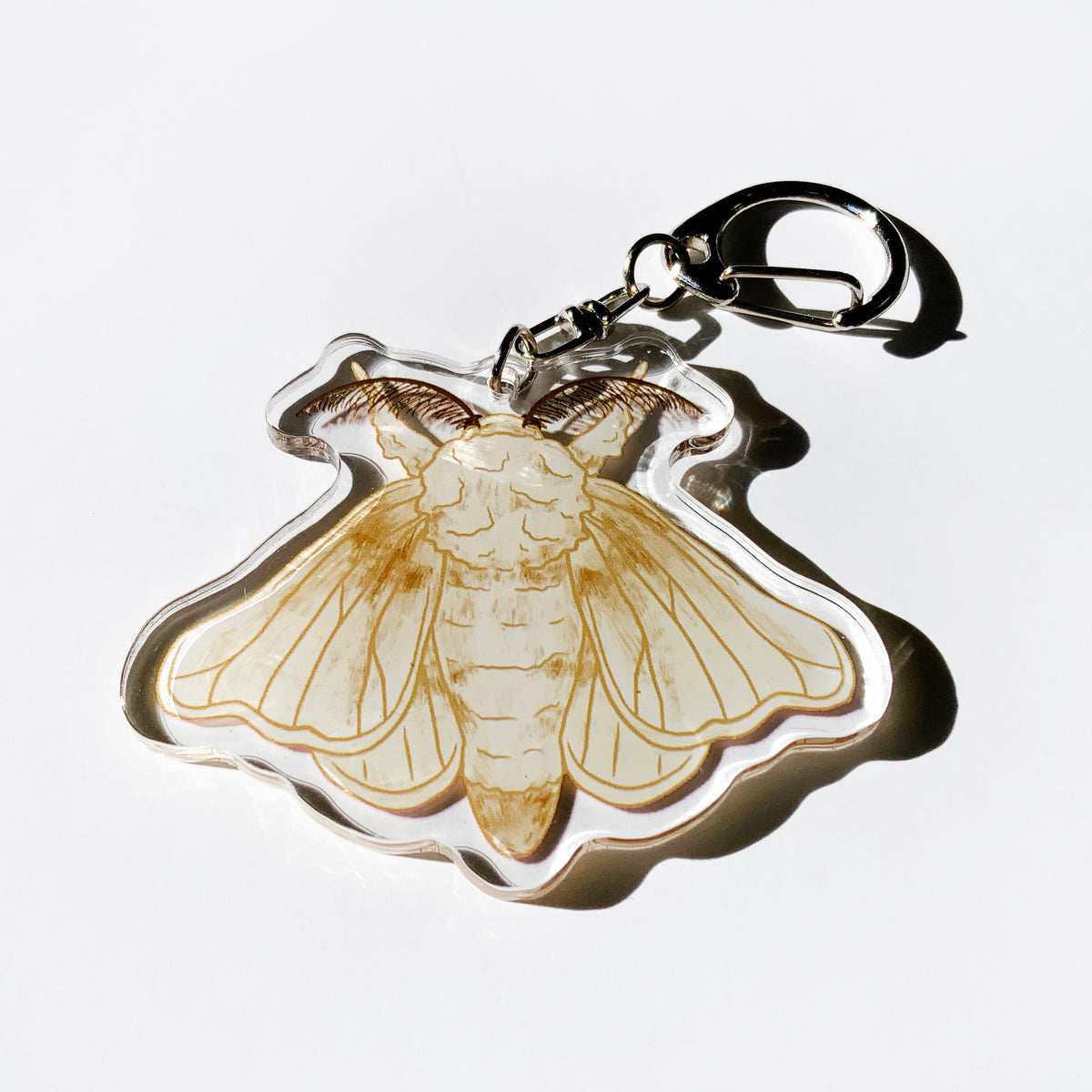 Silk Moth - 2.5" Acrylic Keychain – Creepy Kawaii