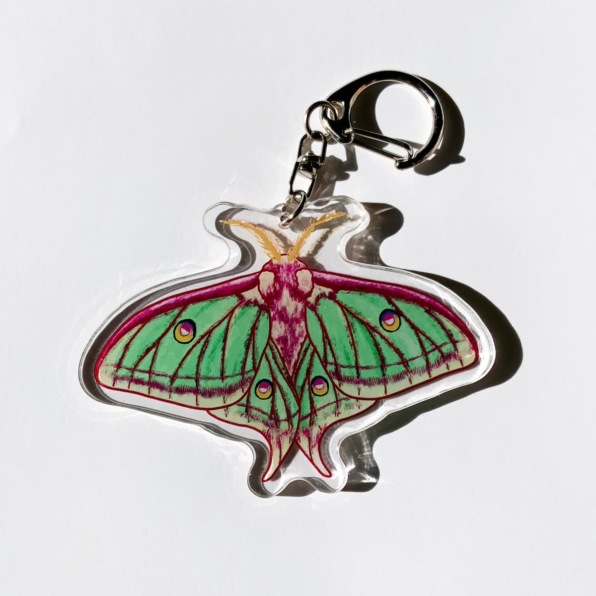 Spanish Moon Moth - 2.5" Acrylic Keychain – Creepy Kawaii